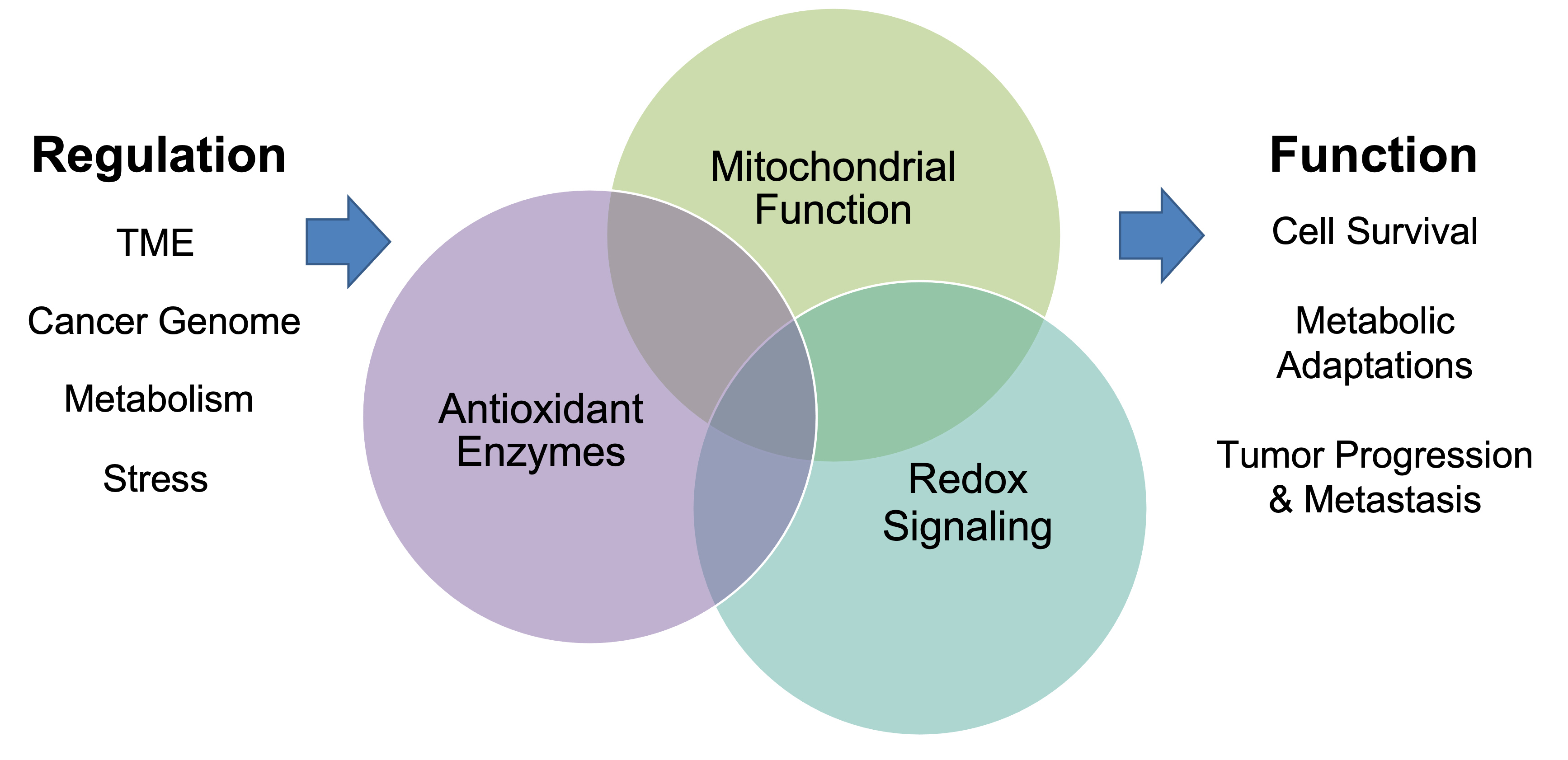 Research – Hempel Lab